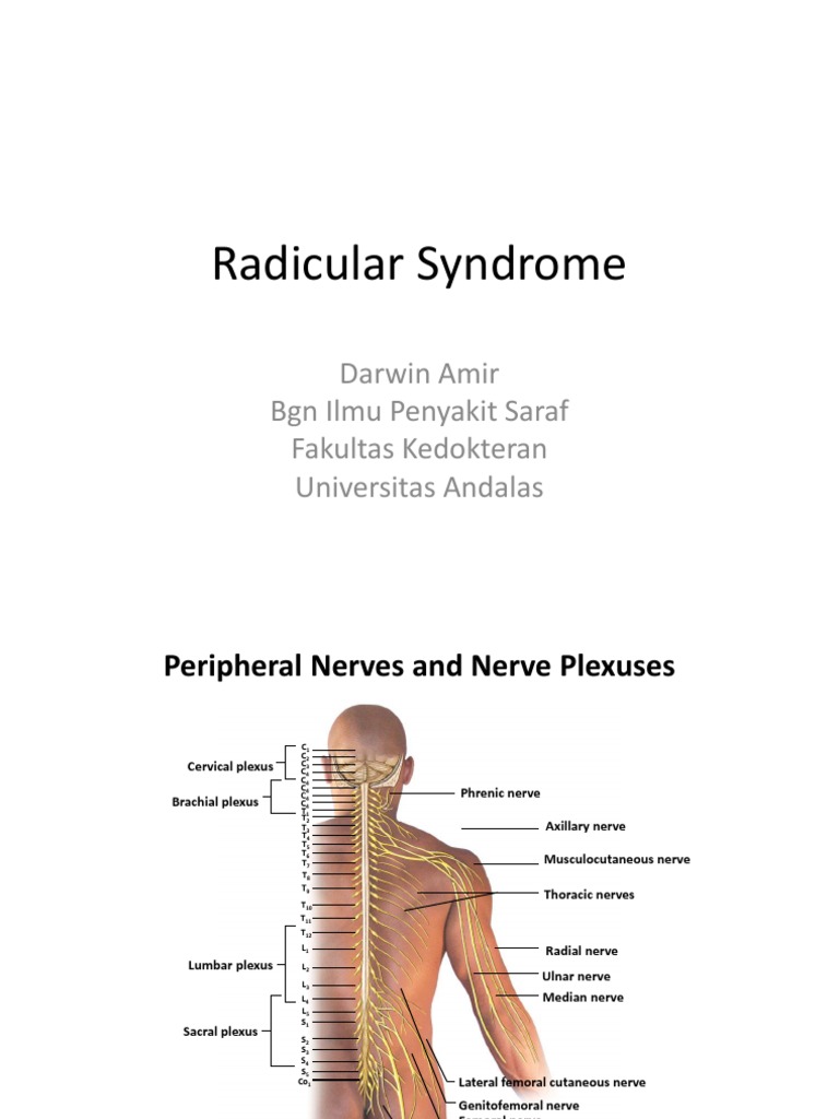 Radicular Syndrome: Darwin Amir BGN Ilmu Penyakit Saraf Fakultas ...