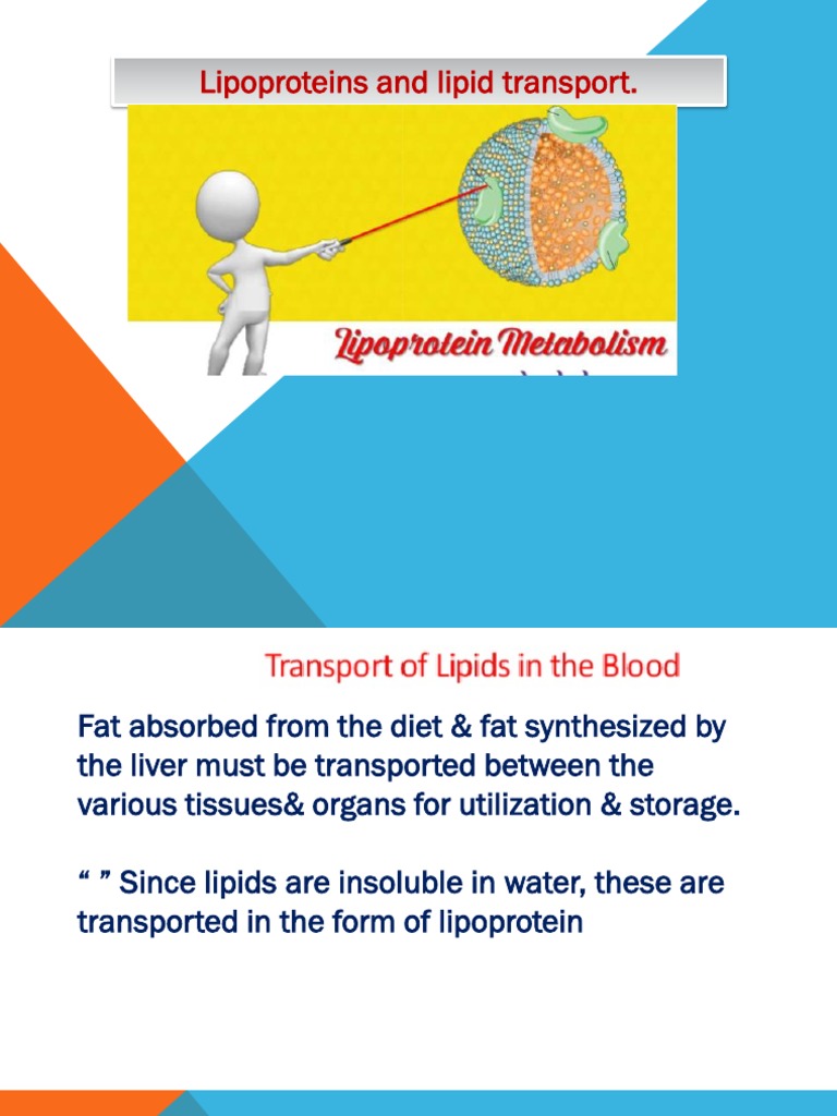 Lipoproteins and Lipid Transport | Download Free PDF | Lipoprotein | Cholesterol