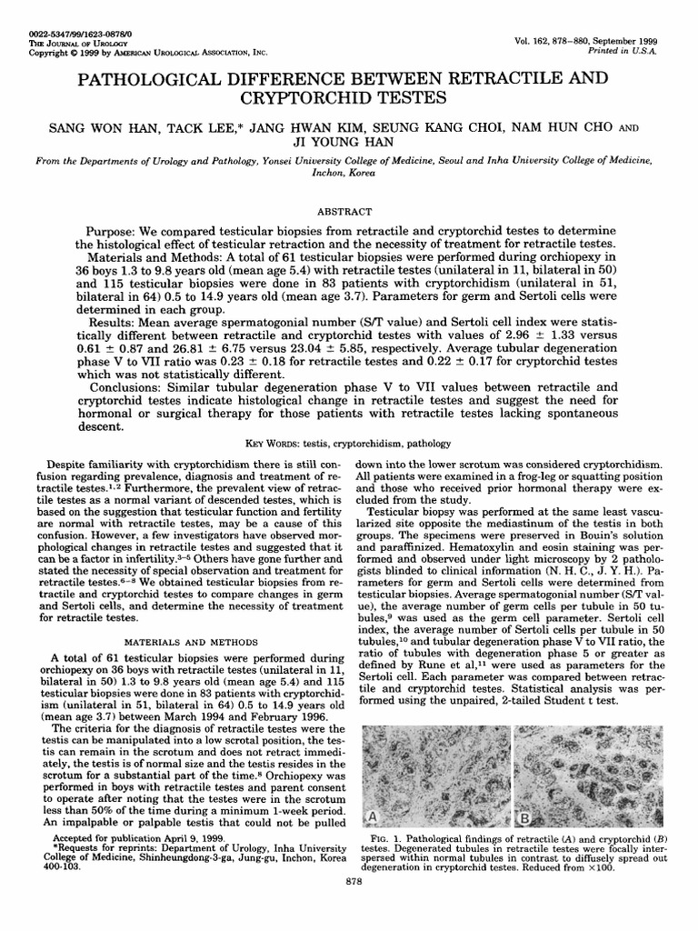 Pathological Difference Between Retractile and Cryptorchid Testes | PDF ...
