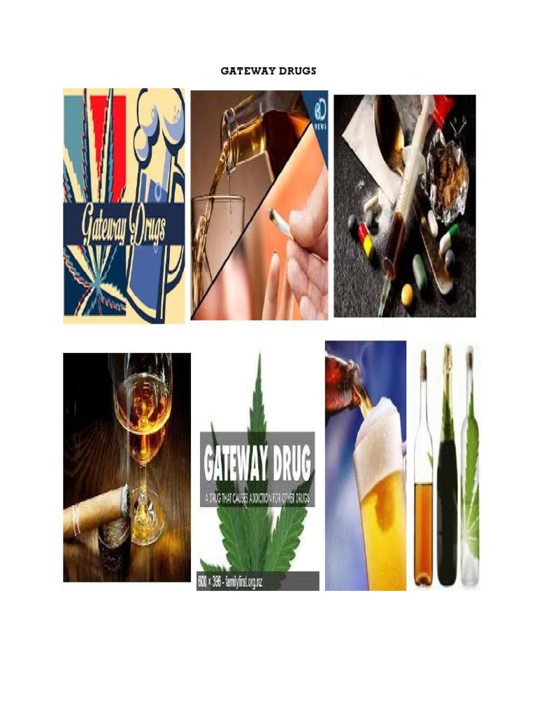 Gateway Drugs: Understanding the Risks and Controversies | PDF ...