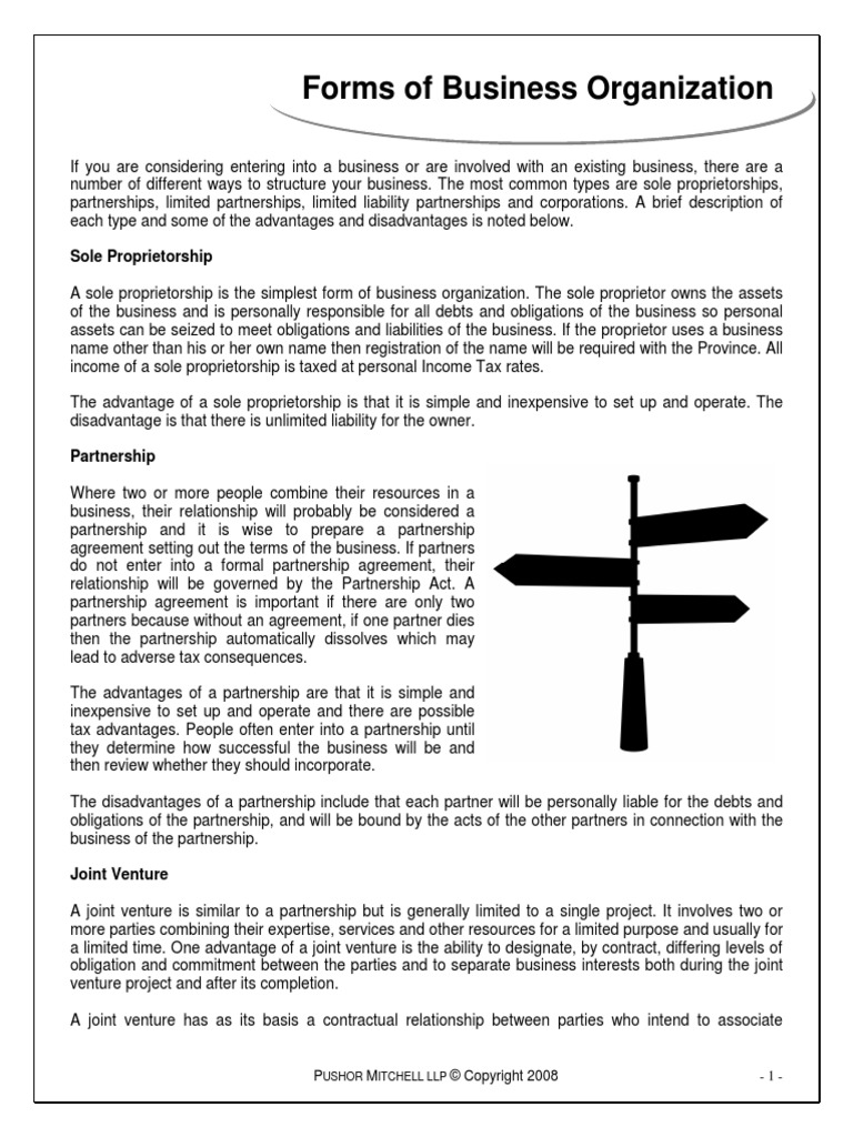 Forms of Business Organization | PDF | Limited Partnership | Partnership