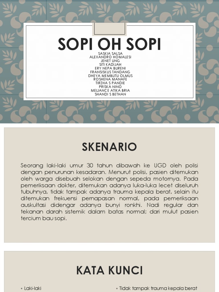 Sopi Oh Sopi | PDF