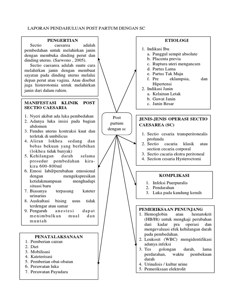 Laporan Pendahuluan Post Partum Dengan SC | PDF