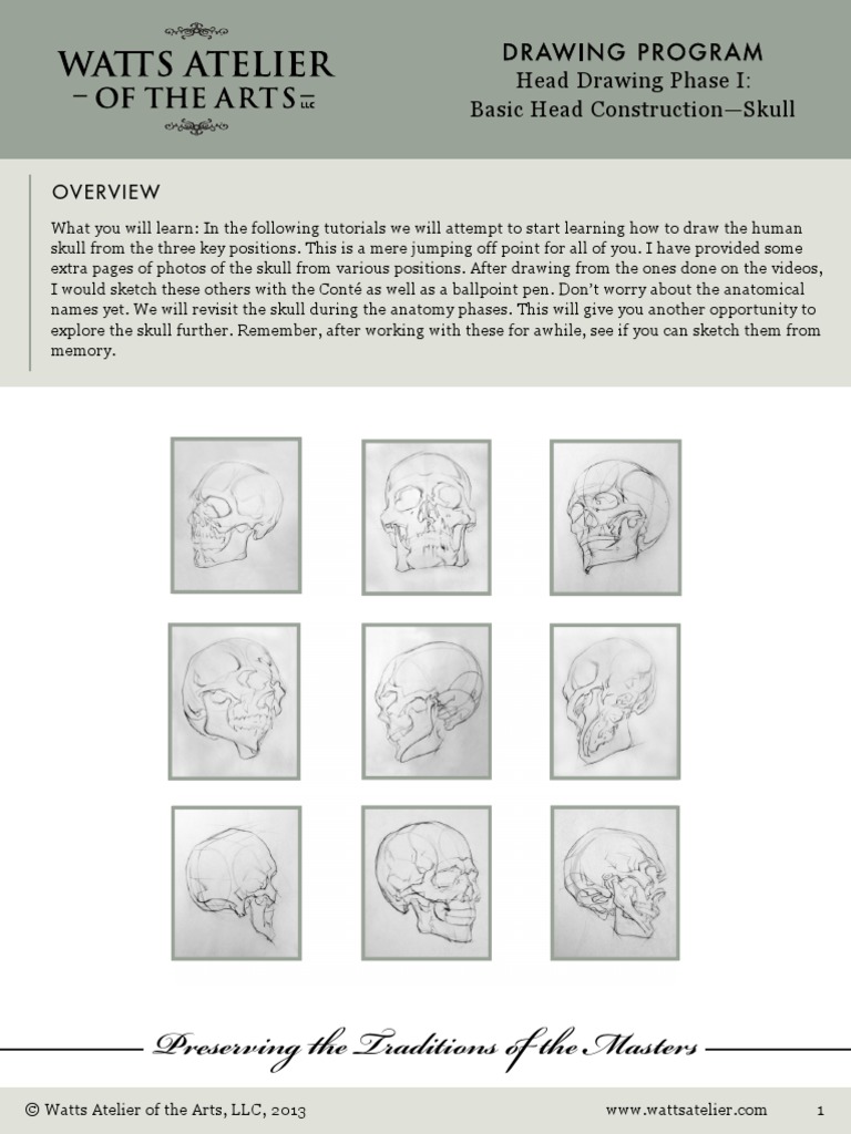 Skull Workbook Pdf Pdf