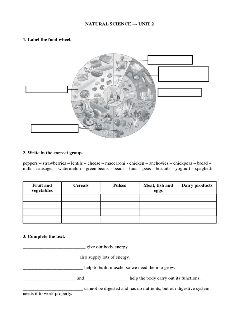 Natural Science - Food and Nutrients | PDF