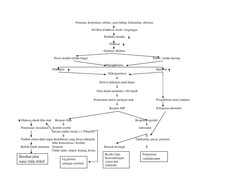 Pathway Hipoglikemia | PDF