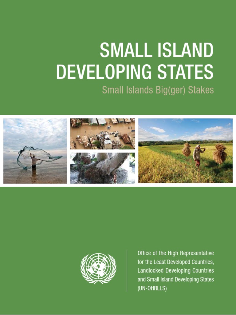 SIDS Small Islands Bigger Stakes | PDF | Water Resources | Renewable Energy