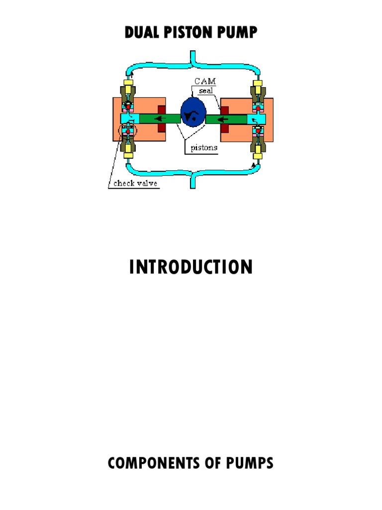 Dual Piston Pump | PDF