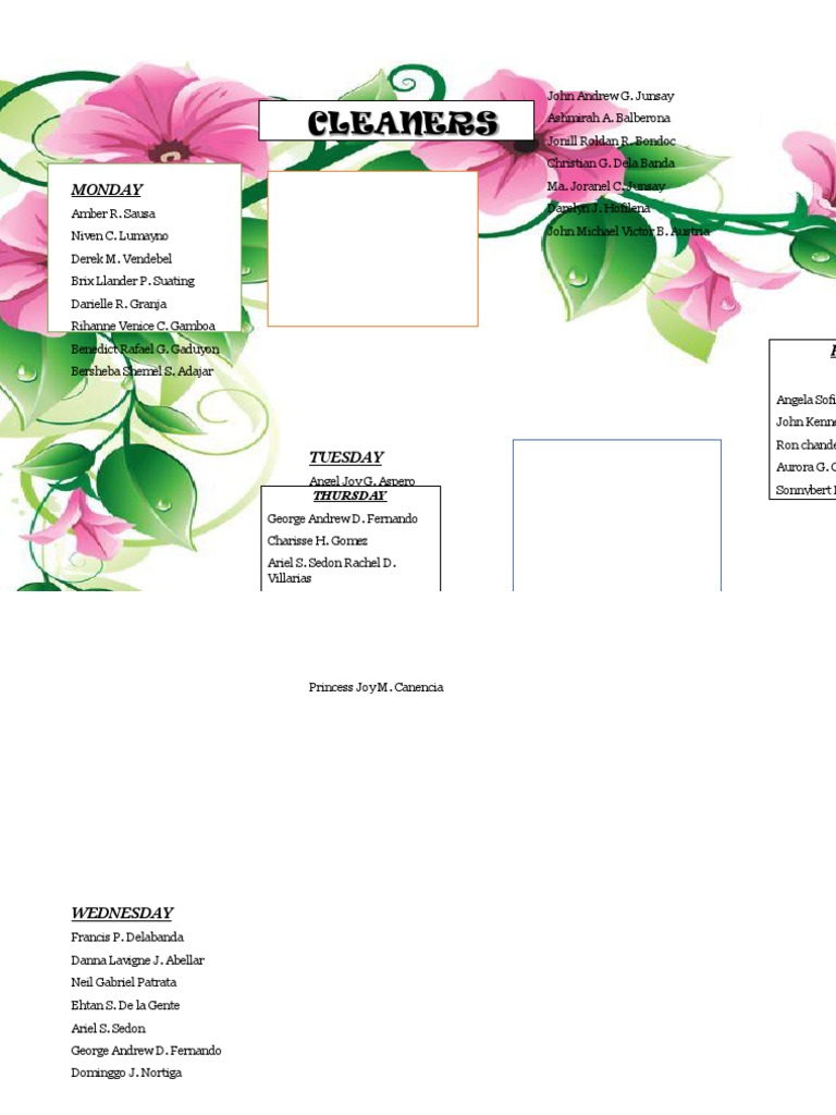 Cleaners Sample | PDF