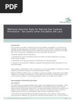 Shell Saraline 185V - Brochure | PDF | Gas To Liquids | Oil Well