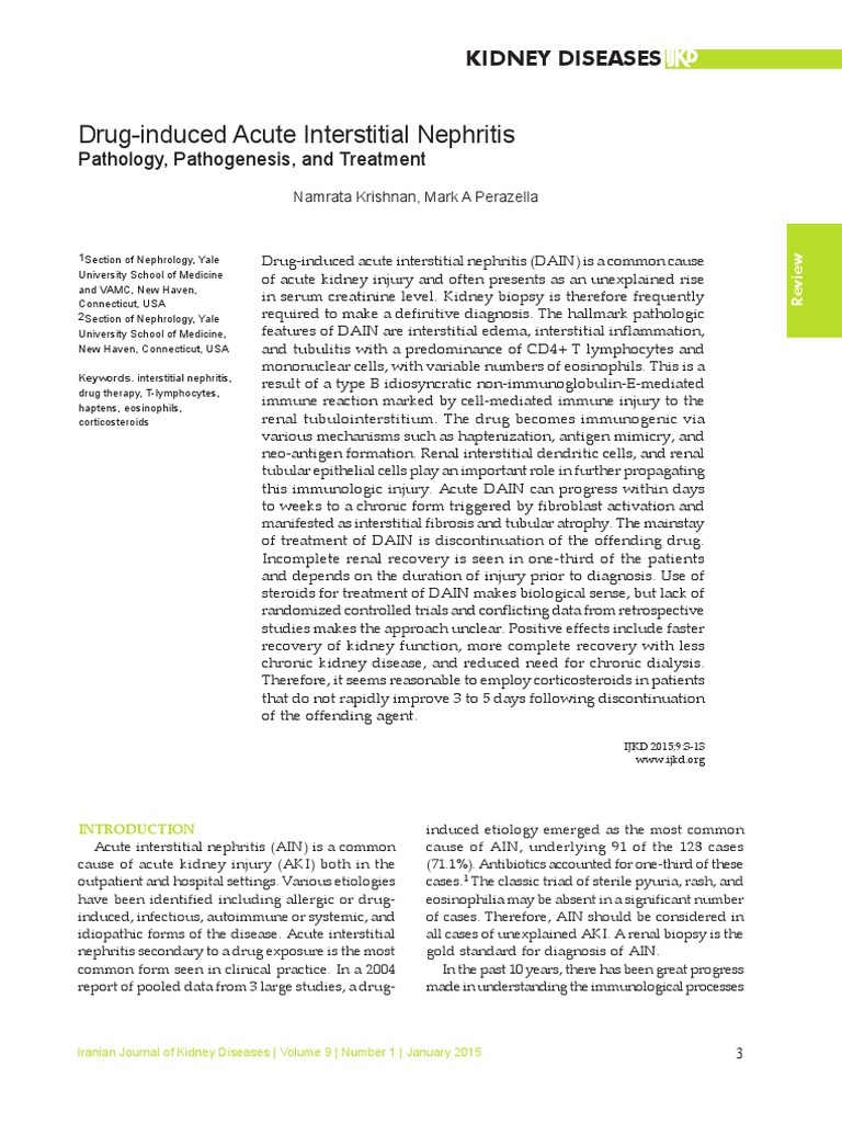 Nefrite Intersticial Fármacos | PDF | Immune System | Inflammation