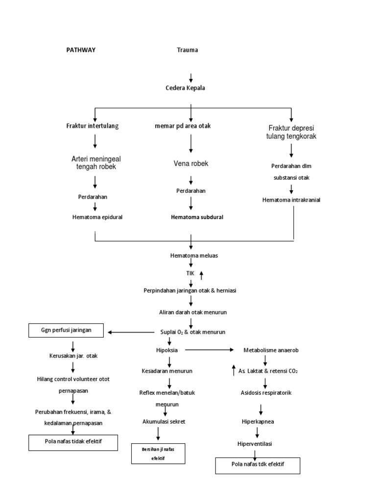 Cedera Kepala Trauma Pathway | PDF