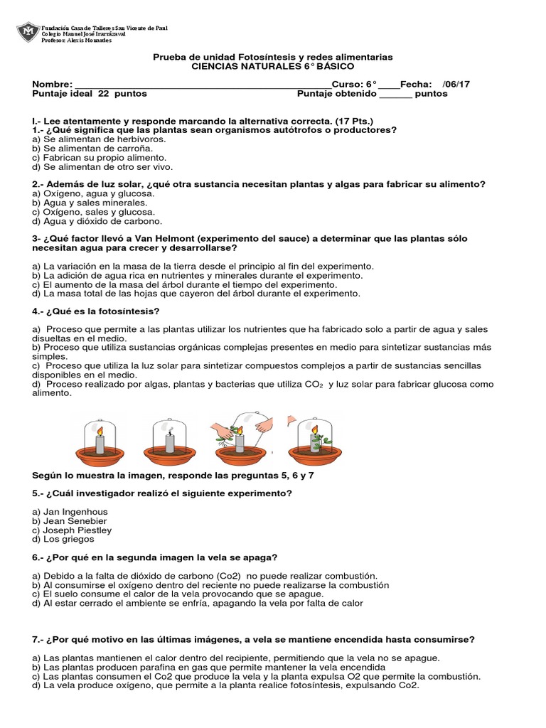 Prueba Unidad Fotosíntesis y Cadenas Alimentarias | PDF | Fotosíntesis ...