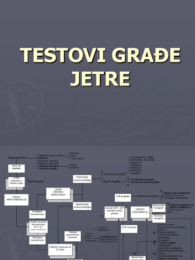 Testovi Gradje Jetre | PDF