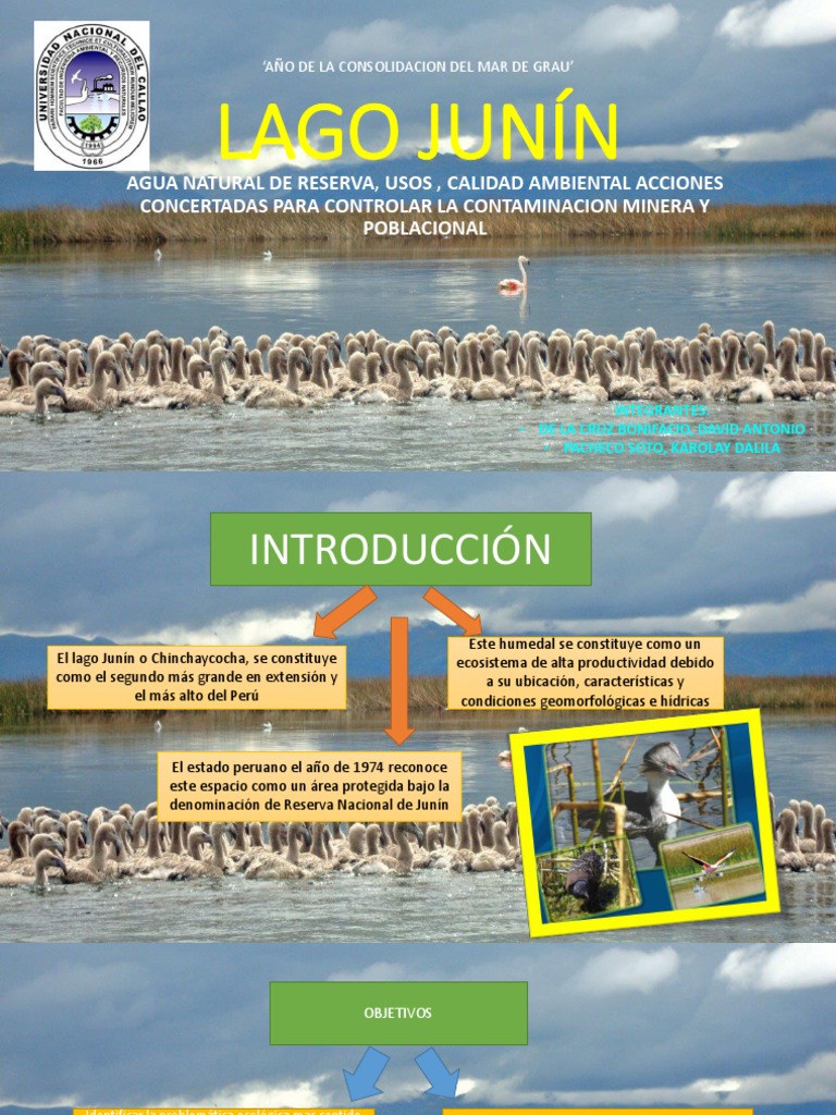 Lago Junín | PDF | lago | Perú