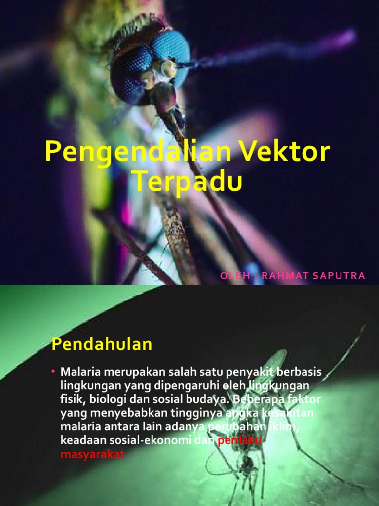 Pengendalian Vektor Terpadu | PDF