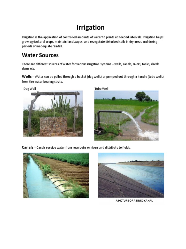 Irrigation Methods & Water Sources in North India | PDF | Irrigation ...