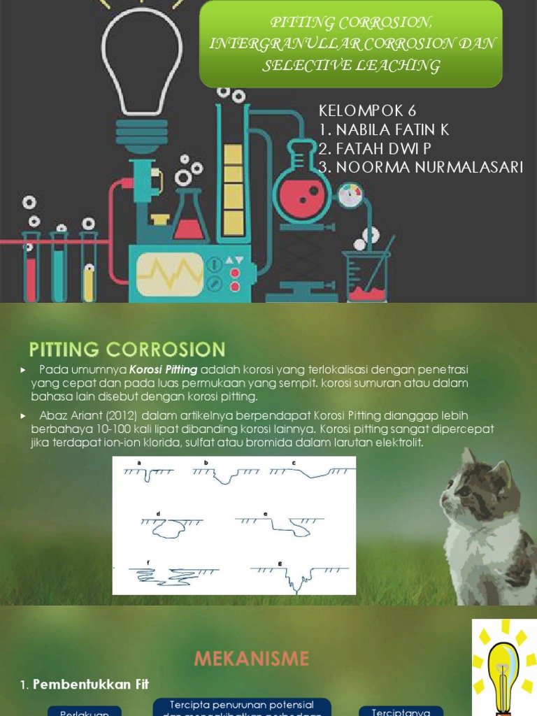 Selective Leaching Corrosion | PDF