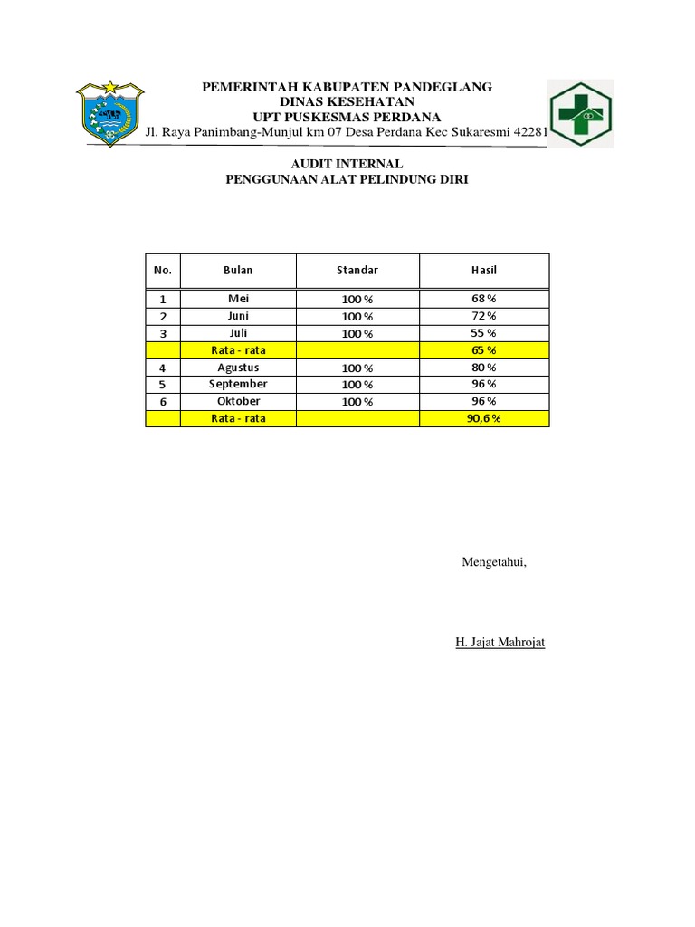 Rekap Audit Internal APD | PDF
