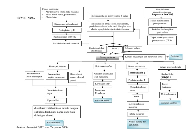 Woc Asma Bronchiale | PDF