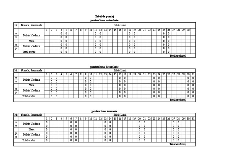 Tabel de Pontaj Muhin | PDF