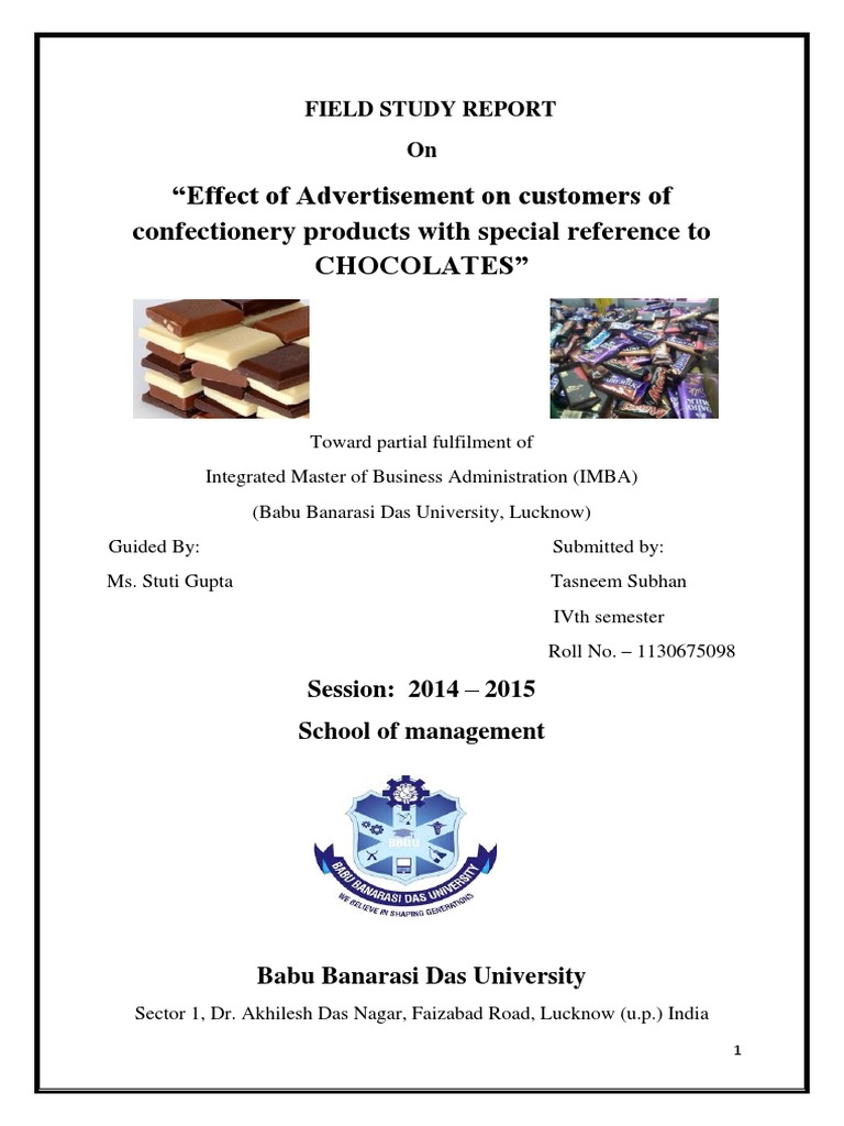 Field Study Report | PDF | Sampling (Statistics) | Advertising