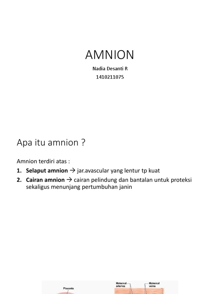 Anatomi Amnion | PDF