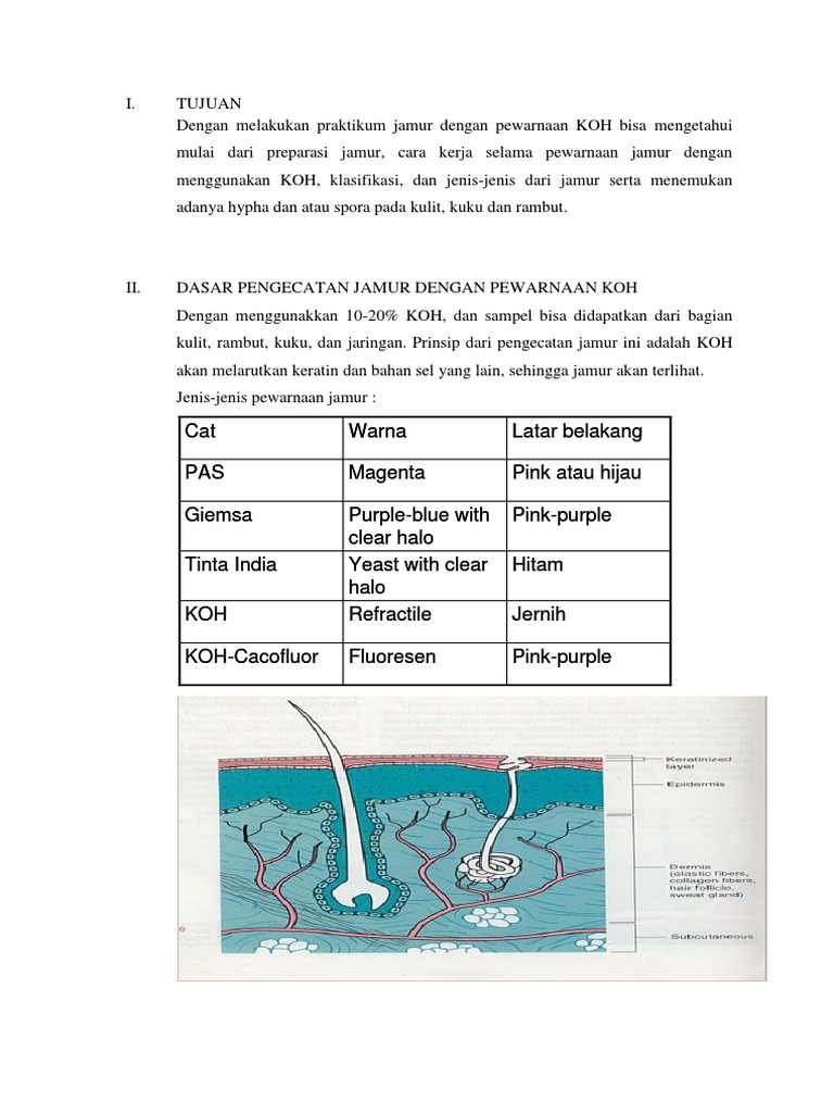 Praktikum Pewarnaan Jamur KOH | PDF | Sains & Matematika