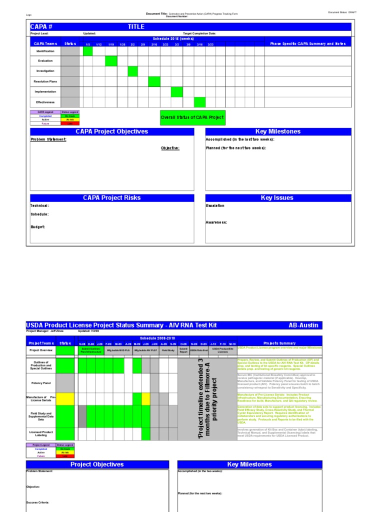 CAPA Tracking Tool | PDF | Business | Computing And Information Technology