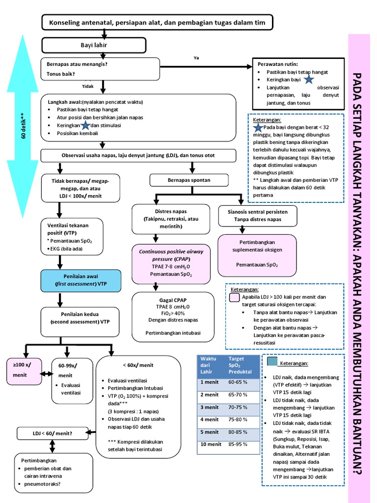 Alur Resusitasi Neonatus 2017 PDF | PDF