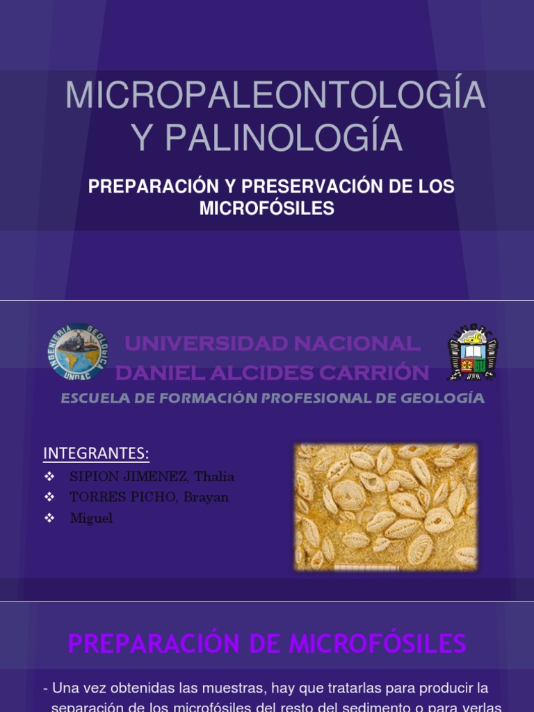 Preparacion y Preservacion de Microfosiles | PDF | Fósil | Roca (geología)