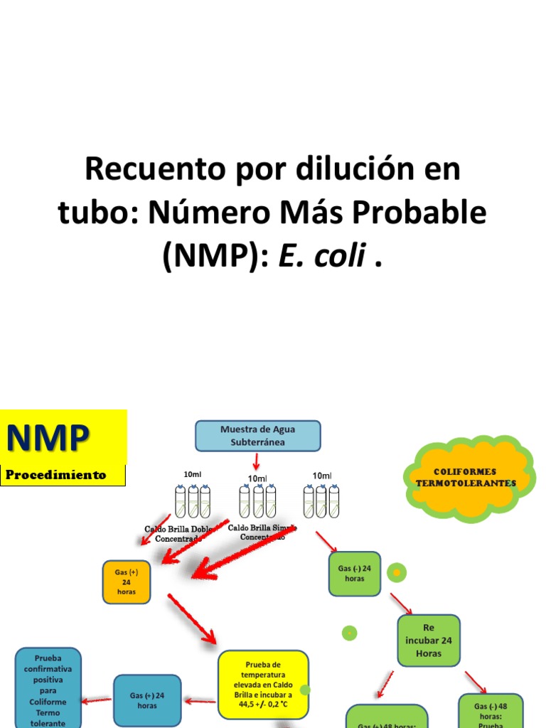2recuento Por Dilución en Tubo Número Más Probable (NMP) E. Coli . | PDF