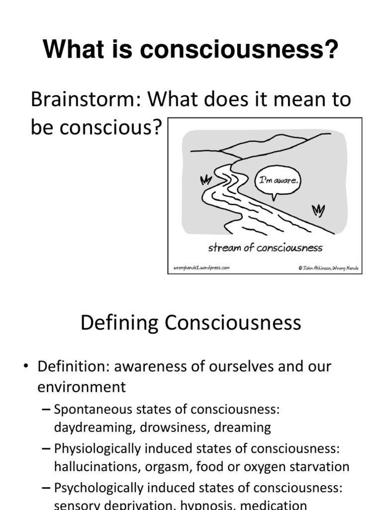 What Is Consciousness?: Brainstorm: What Does It Mean To Be Conscious ...