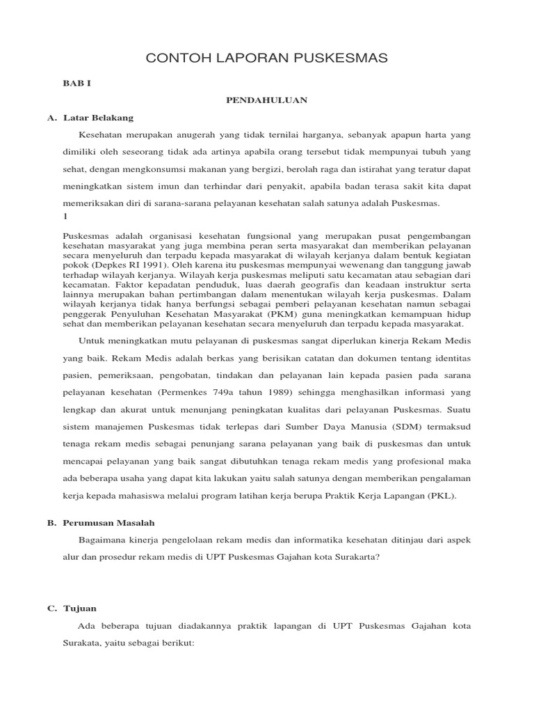 Contoh Laporan Puskesmas | PDF