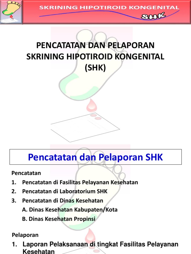 Pencatatan Dan Pelaporan SHK | PDF