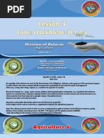 Detailed Lesson Plan in Tle 6 | PDF | Trees | Plants