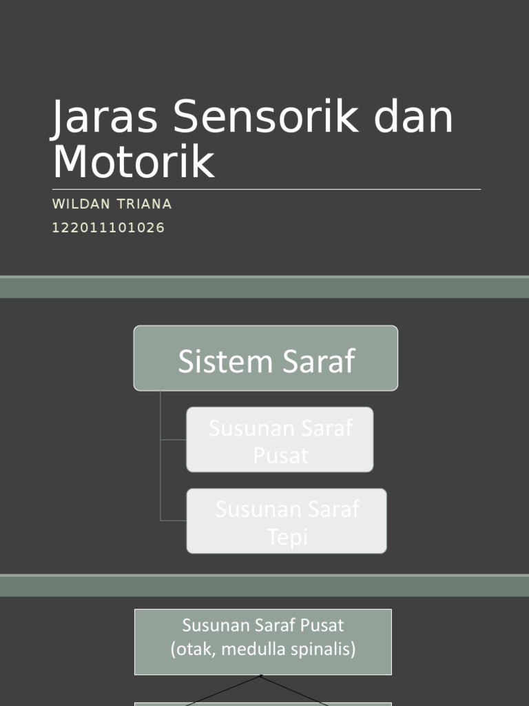 Jaras Sensorik Dan Motorik - Wildan | PDF