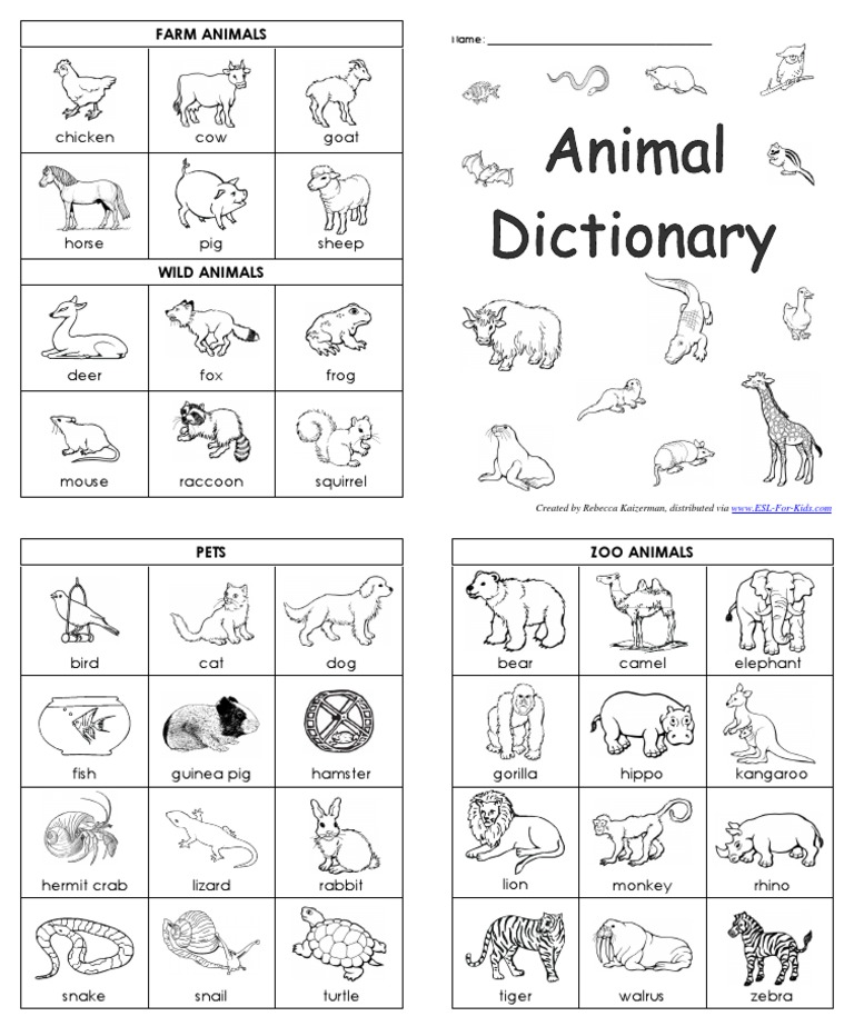 Animal Vocabulary for Kids | PDF