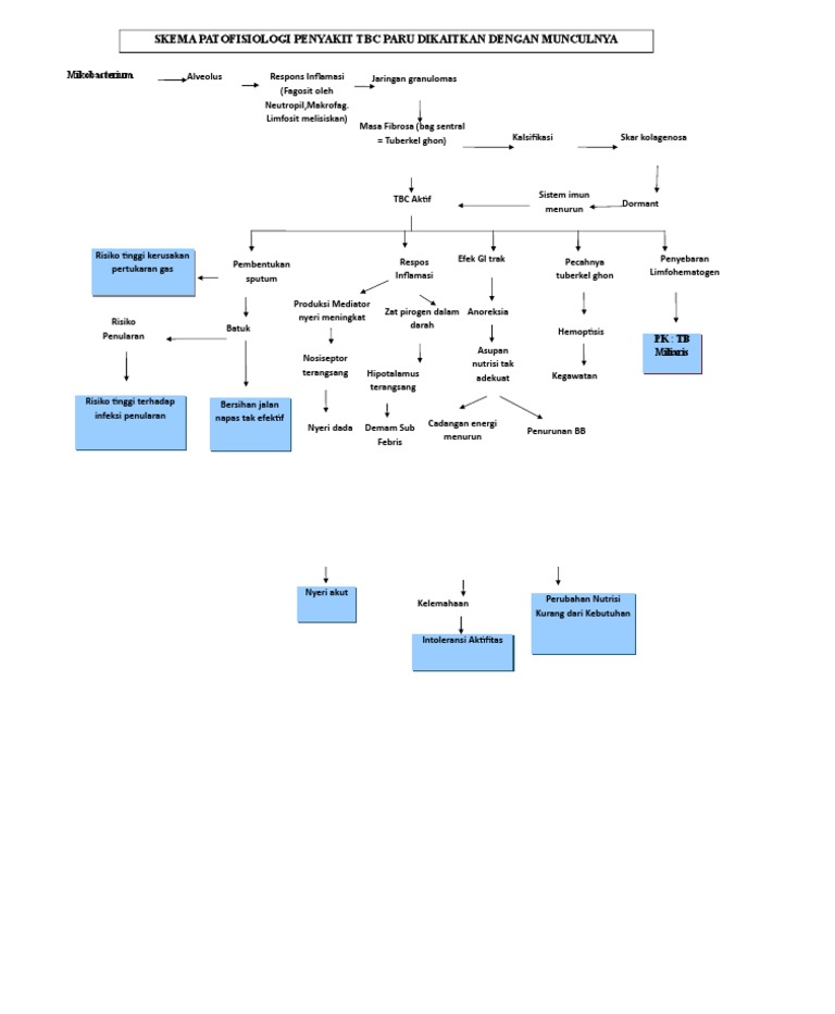 Patofis TB Paru | PDF