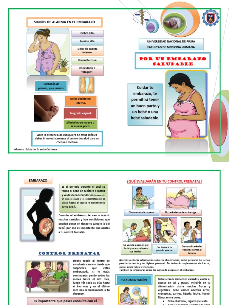 Folleto Control Prenatal | PDF | El embarazo | Parto
