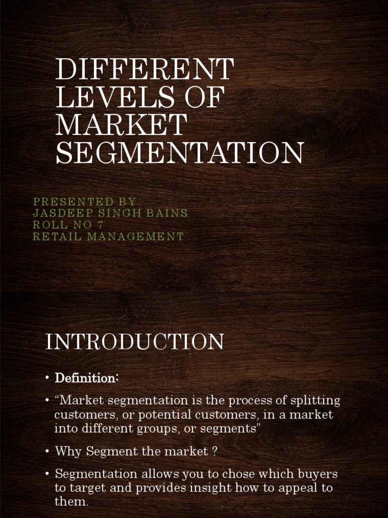 Levels of Market Segmentation 1 | PDF