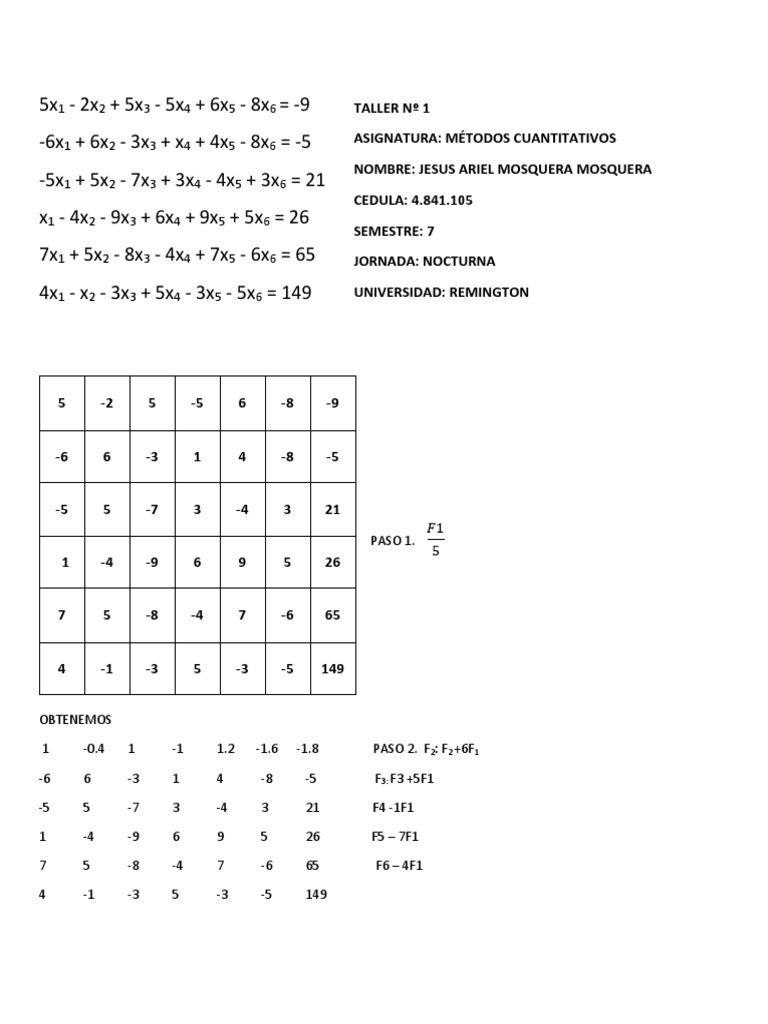 Sistema de Ecuaciones 6x6 Resuelto | PDF | Clima | Ocio