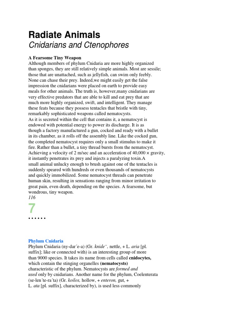 Radiate Animals: Cnidarians and Ctenophores | PDF | Coral | Aquatic Animals