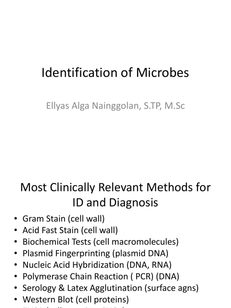Week 9 Identification of Microbes | PDF