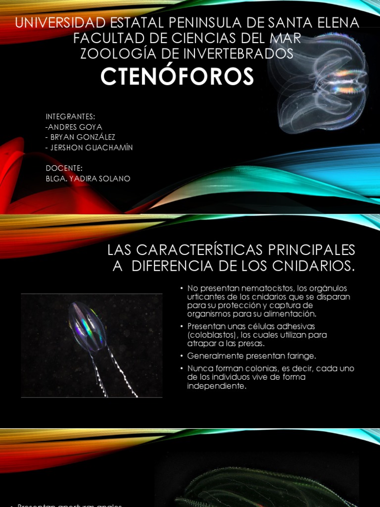 Características y Clasificación de Ctenóforos | PDF | Biología | Organismos