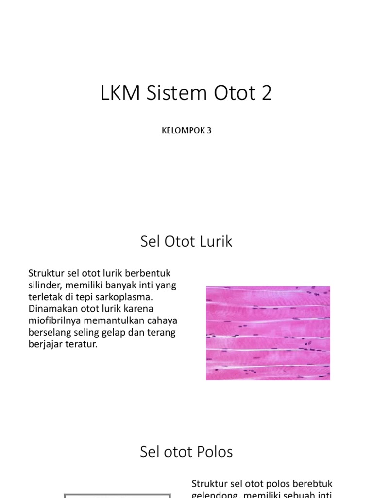 LKM Sistem Otot 2 | PDF