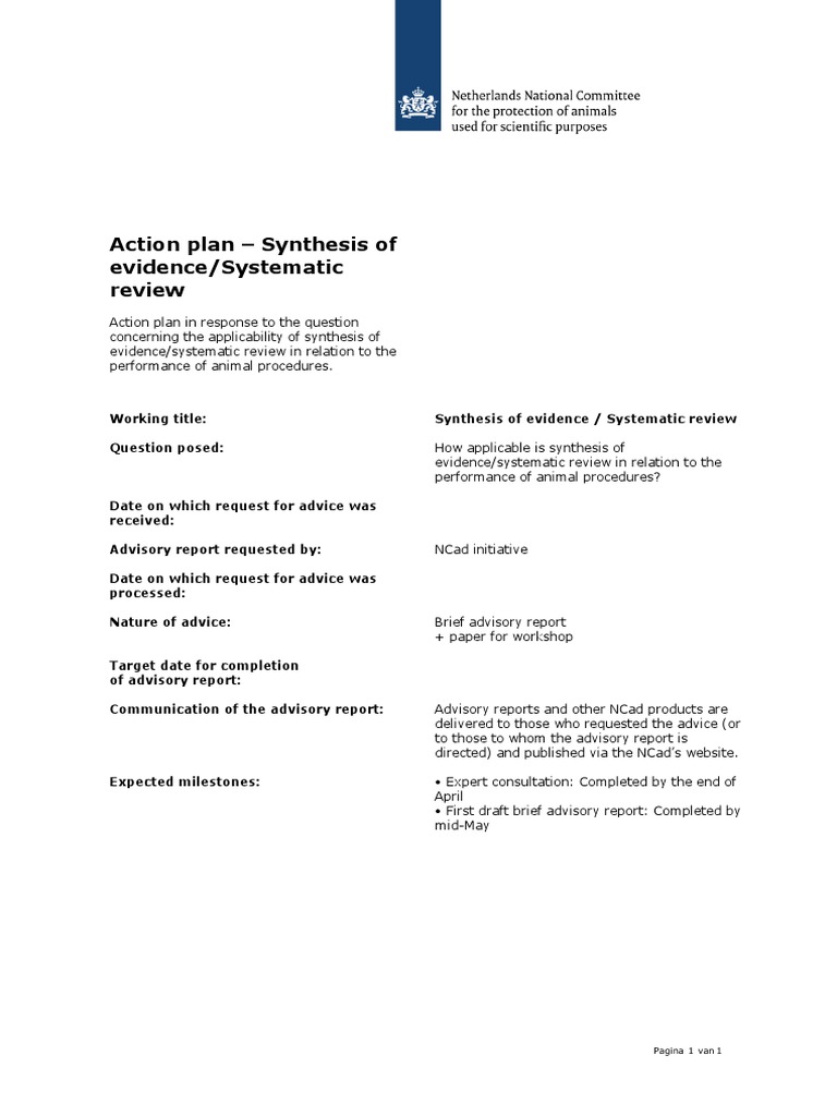 1 Action Plan Synthesis of Evidence | PDF