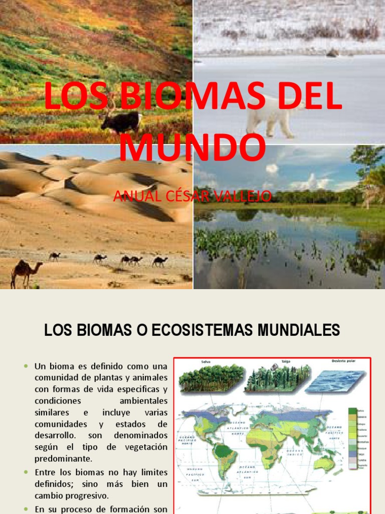Principales Biomas del Mundo | PDF | Reno | Desierto