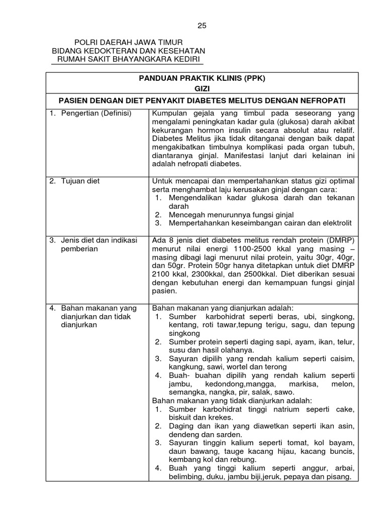PPK Diet DM Dengan Nefropati | PDF