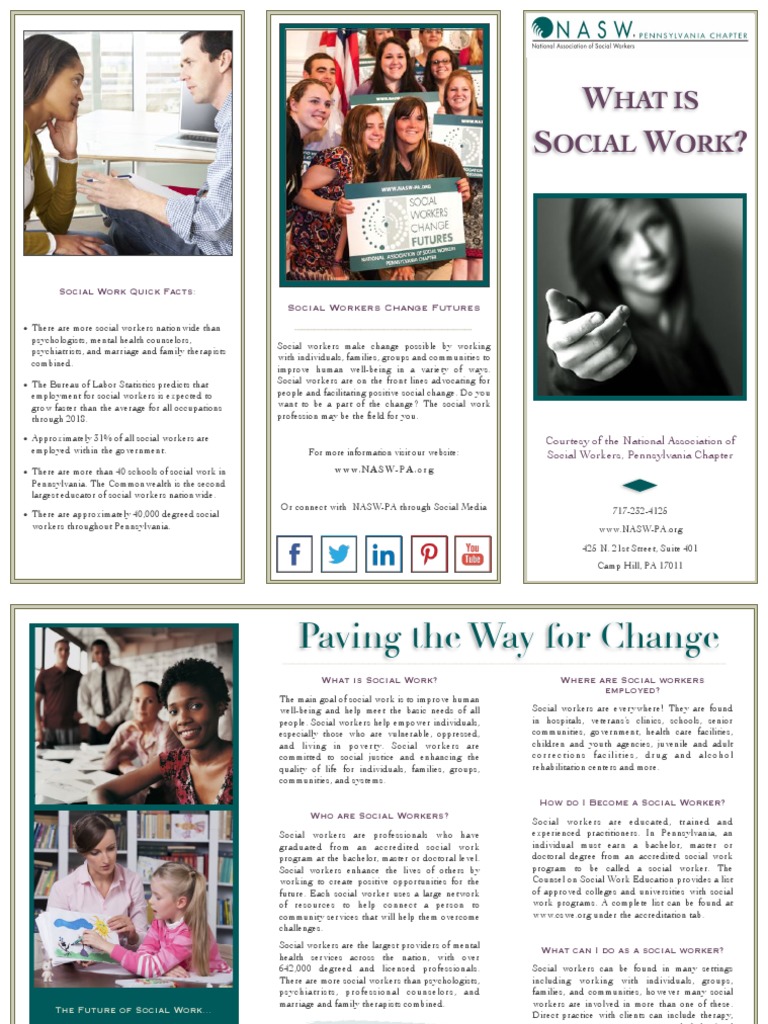 What Is Social Work Small 1 | PDF | Social Work | Psychotherapy